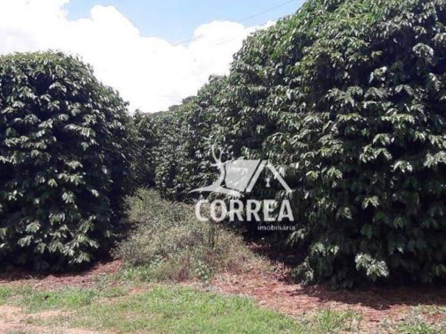 Fazenda para venda em Centro, Franca