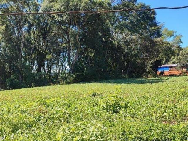 Fazenda para venda em Centro, Francisco Beltrão
