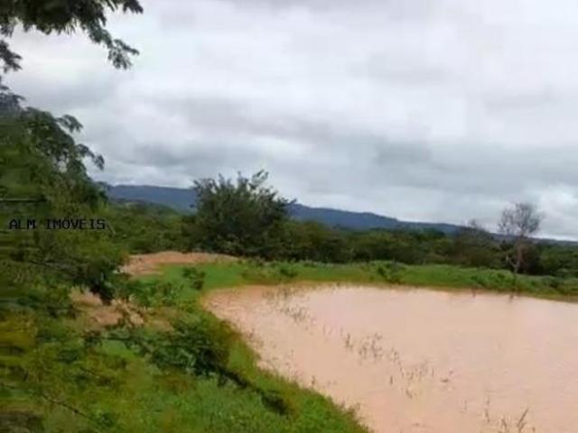 Fazenda para venda em Centro, Francisco Sá