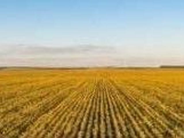Fazenda para venda em Centro, Guaraniaçu