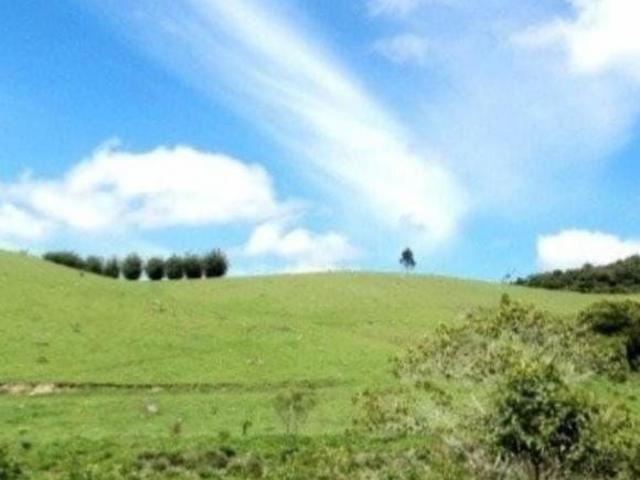 Fazenda para venda em Centro, Guaratinguetá