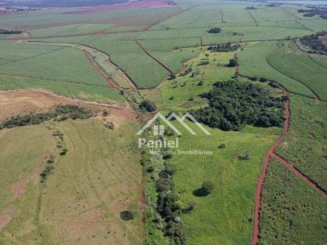 Fazenda para venda em Centro, Guatapará
