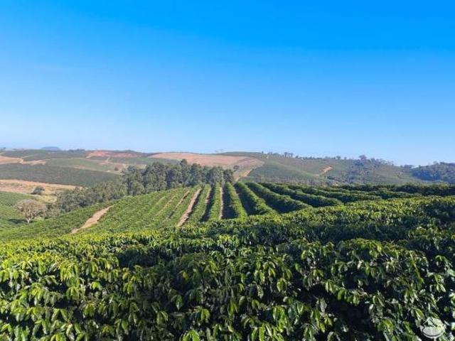 Fazenda para venda em Centro, Guaxupé