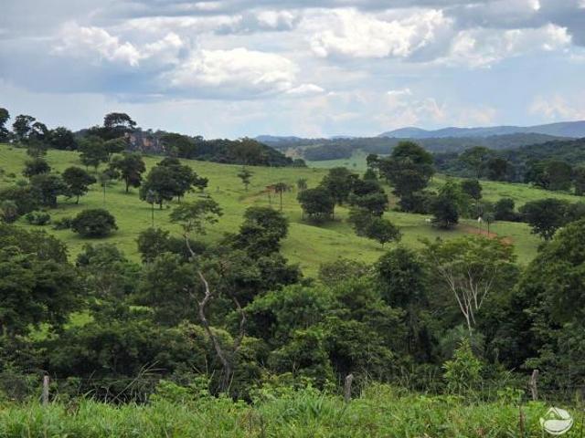 Fazenda para venda em Centro, Goianésia
