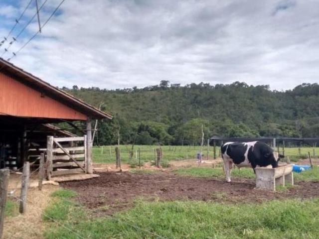 Fazenda para venda em Centro, Goiás