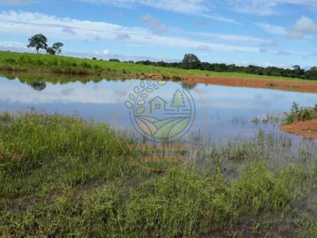 Fazenda para venda em Centro, Goiás