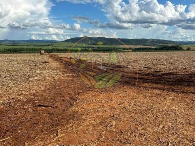 Fazenda para venda em Centro, Goiás