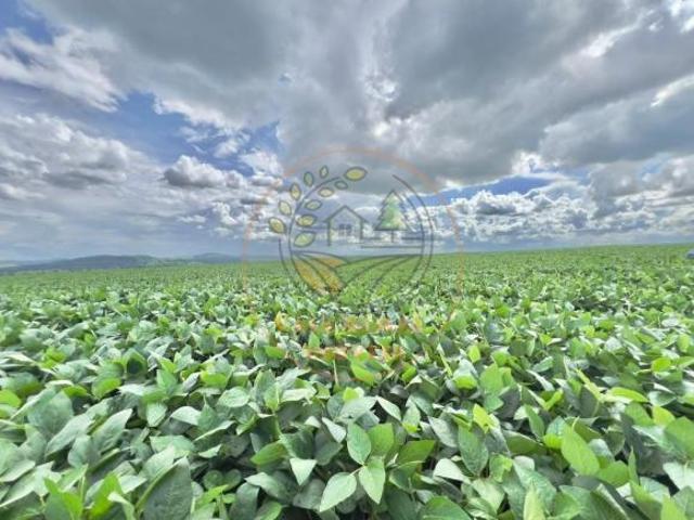 Fazenda para venda em Centro, Goiás