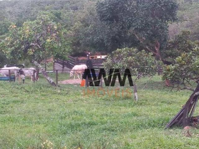 Fazenda para venda em Centro, Goiás