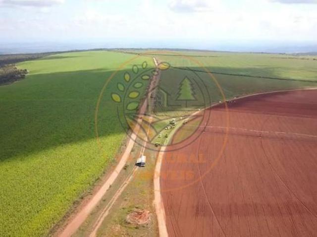 Fazenda para venda em Centro, Goiás