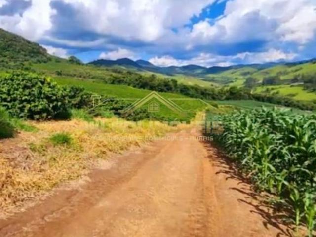 Fazenda para venda em Centro, Heliodora