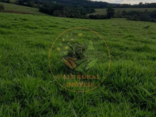 Fazenda para venda em Centro, Itaberaí