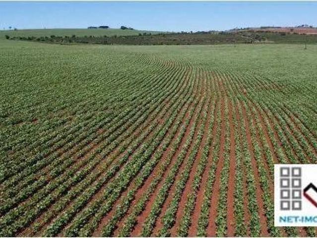 Fazenda para venda em Centro, Itaí