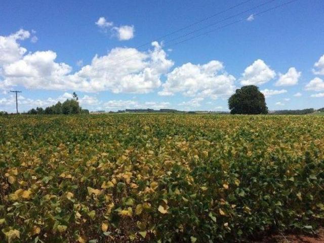 Fazenda para venda em Centro, Itaí