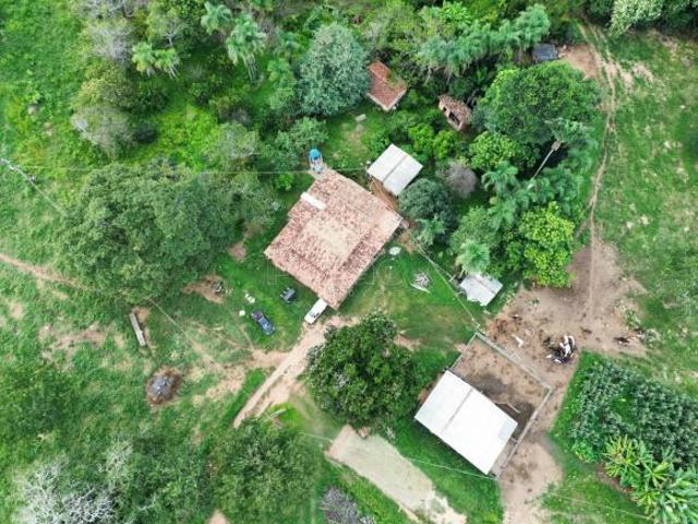 Fazenda para venda em Centro, Itapuranga