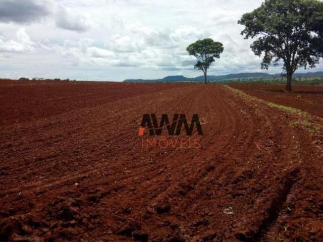 Fazenda para venda em Centro, Itapuranga