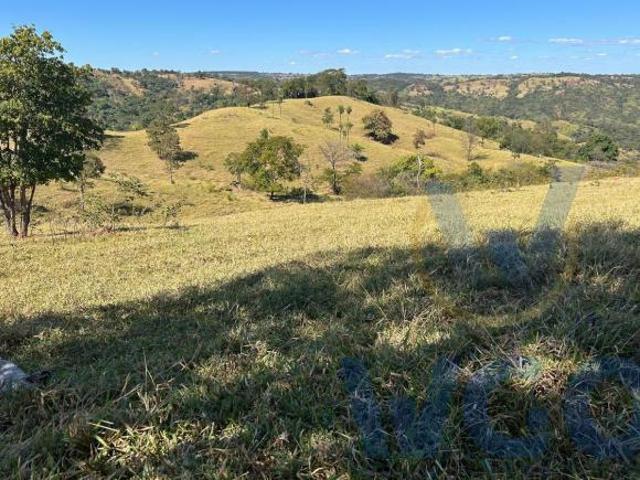 Fazenda para venda em Centro, Itapuranga