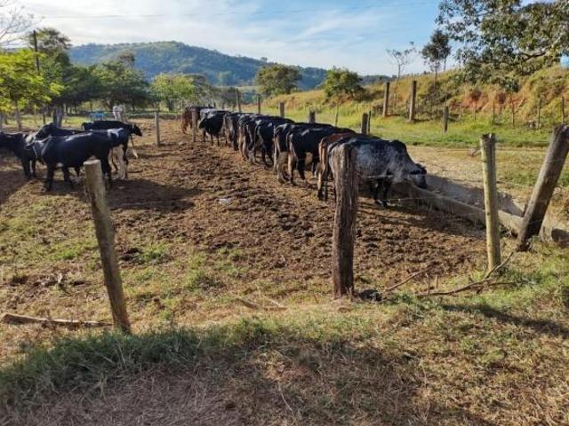 Fazenda para venda em Centro, Itapecerica