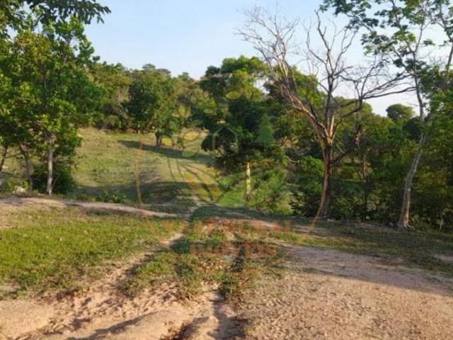 Fazenda para venda em Centro, Itiquira
