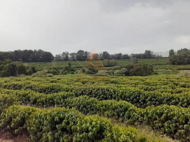 Fazenda para venda em Centro, Itirapuã