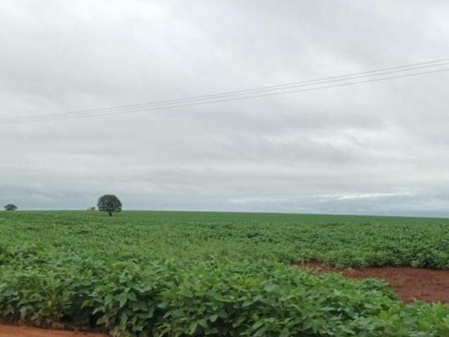 Fazenda para venda em Centro, Ivaté