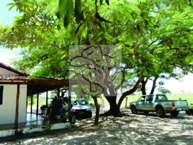 Fazenda para venda em Centro, Ibiaí