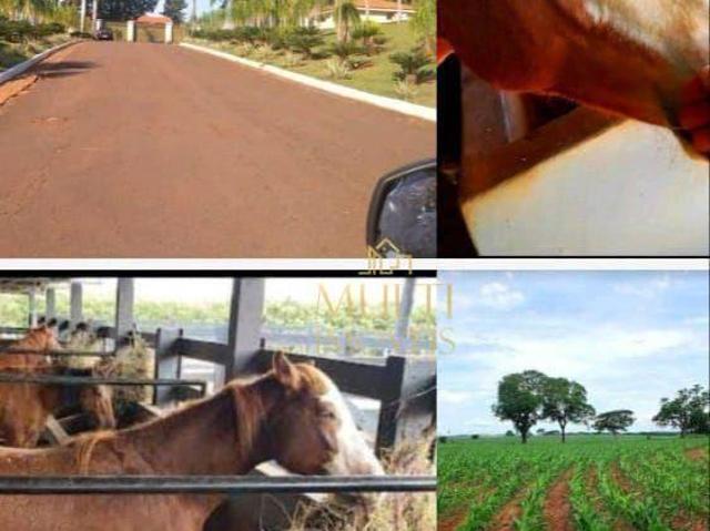 Fazenda para venda em Centro, Indiaporã