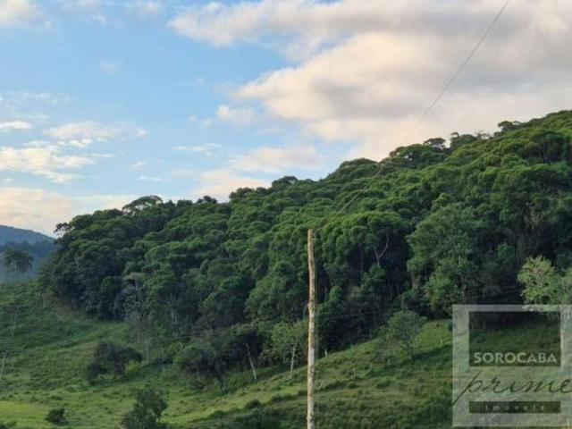 Fazenda para venda em Centro, Iporanga