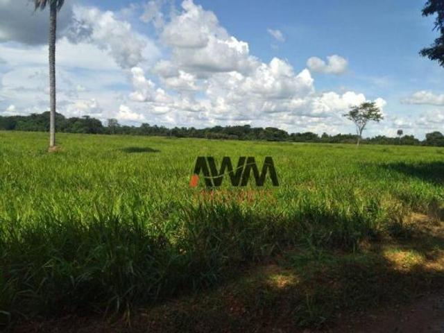 Fazenda para venda em Centro, Jussara