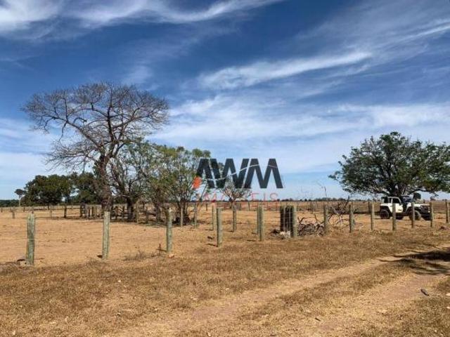 Fazenda para venda em Centro, Jussara