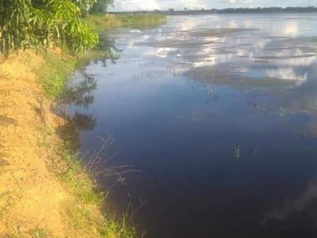 Fazenda para venda em Centro, Jussara