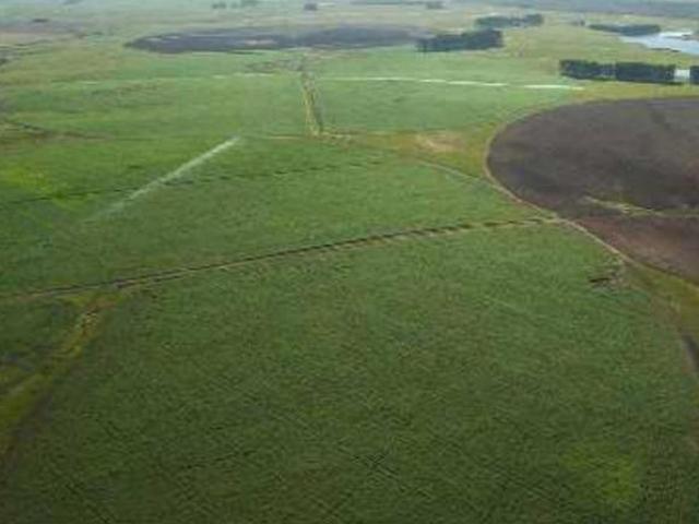 Fazenda para venda em Centro, Jaguarão