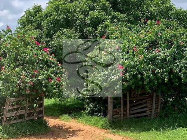 Fazenda para venda em Centro, Jaíba