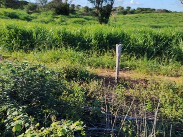 Fazenda para venda em Centro, Jaíba