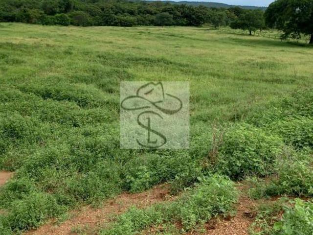 Fazenda para venda em Centro, Janaúba