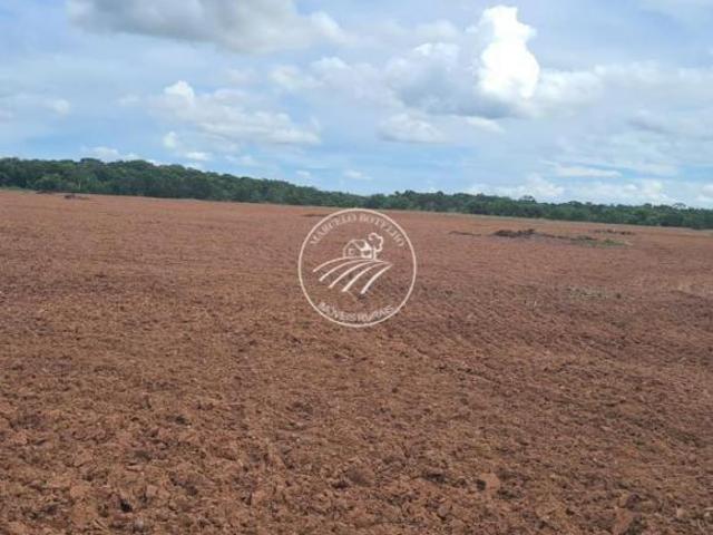 Fazenda para venda em Centro, Jangada