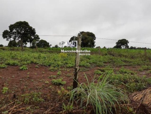 Fazenda para venda em Centro, Jangada