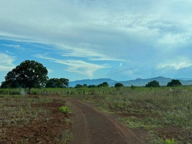 Fazenda para venda em Centro, Jangada