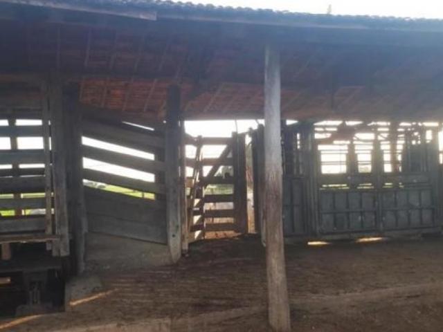 Fazenda para venda em Centro, Januária