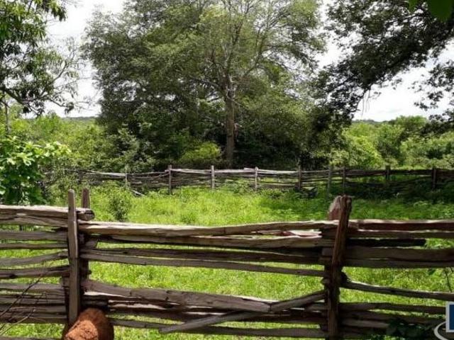 Fazenda para venda em Centro, Januária