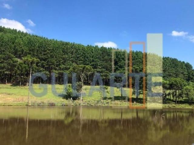 Fazenda para venda em Centro, Jaquirana