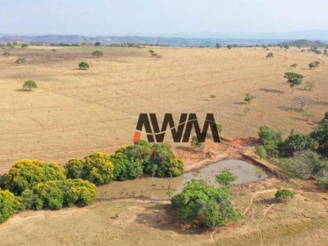 Fazenda para venda em Centro, Jaraguá