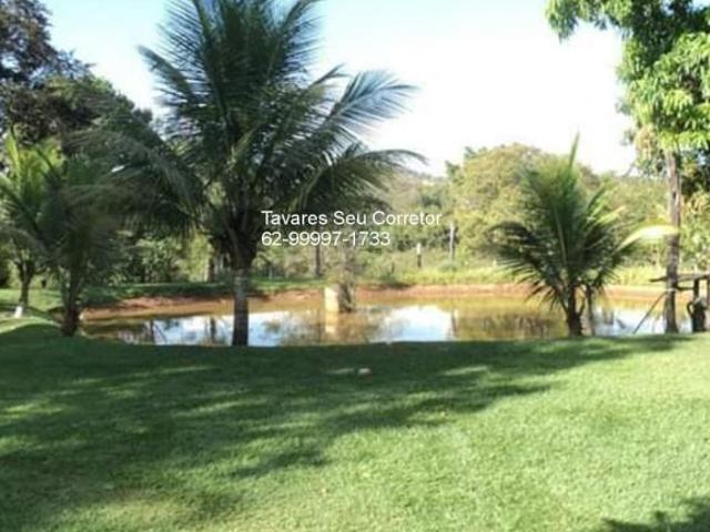 Fazenda para venda em Centro, Jaraguá