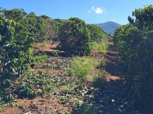 Fazenda para venda em Centro, Jesuânia