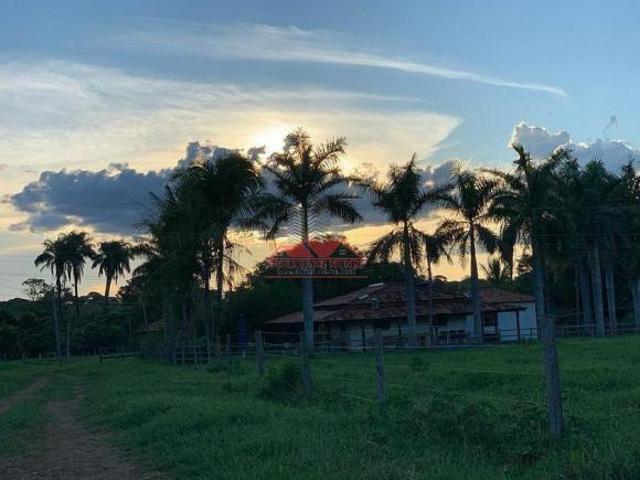 Fazenda para venda em Centro, João Pinheiro