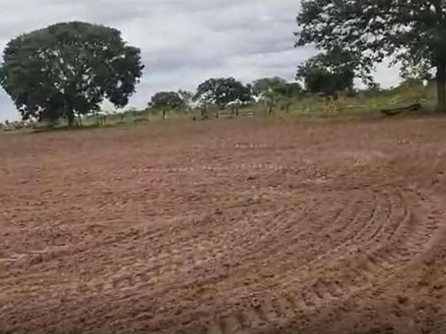 Fazenda para venda em Centro, João Pinheiro