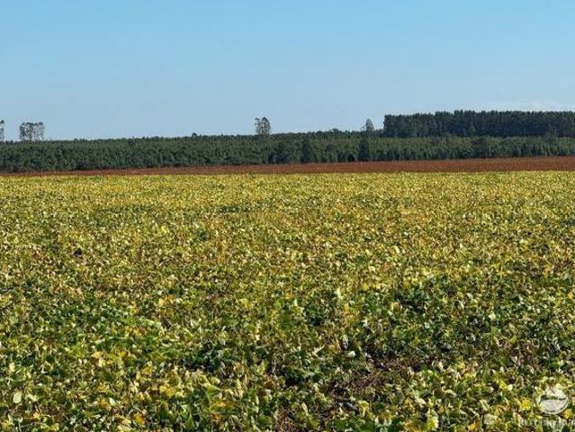 Fazenda para venda em Centro, João Pinheiro