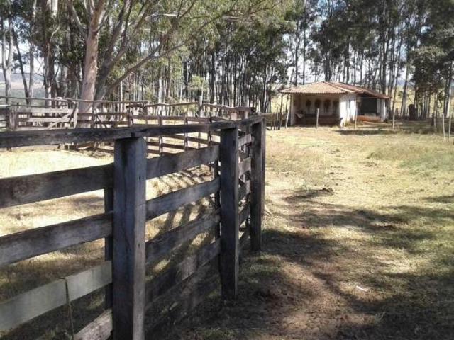 Fazenda para venda em Centro, João Pinheiro