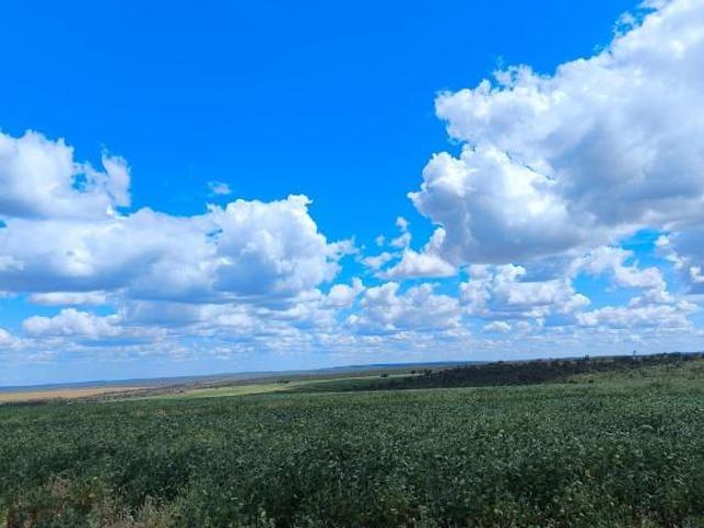 Fazenda para venda em Centro, João Pinheiro