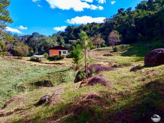Fazenda para venda em Centro, Joanópolis